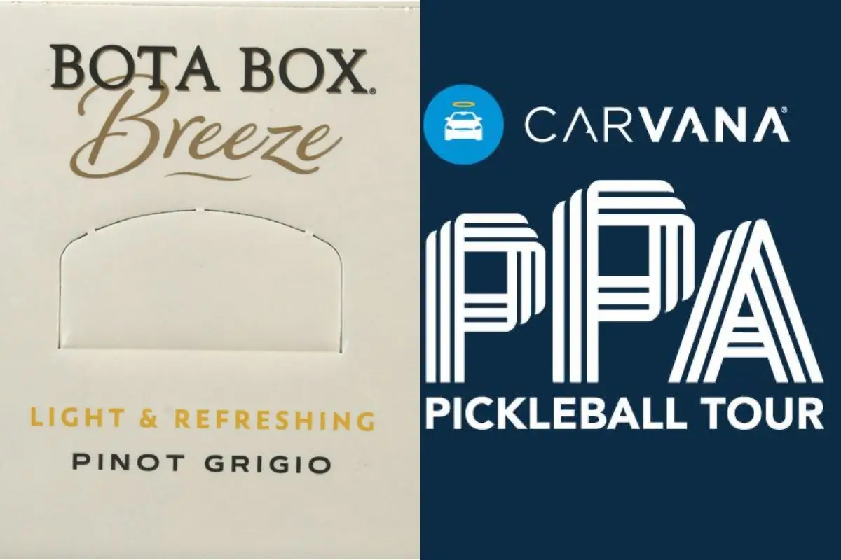 Bota Box Breeze and PPA Tour Join Forces for 2025 Season